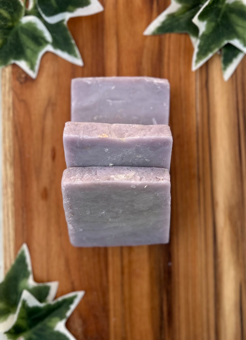 Lilac – Natural Wonders USA